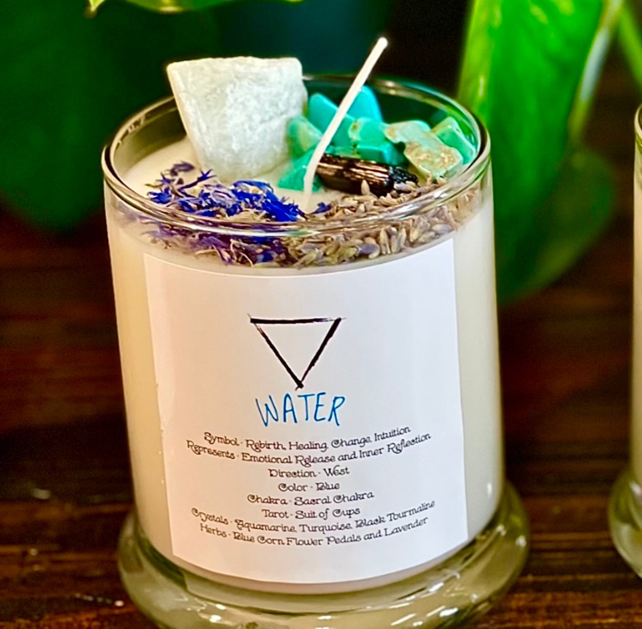 Water | Cici and the Moon